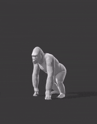 Fear Turn Back